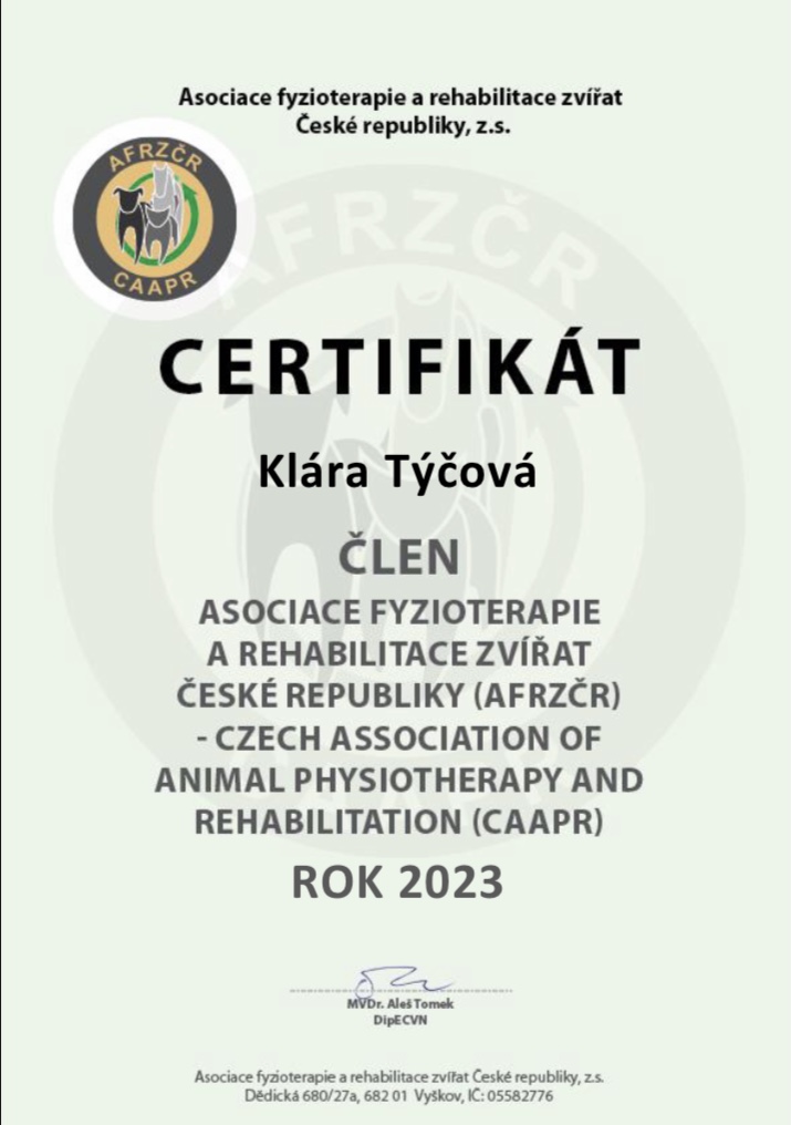 O nás - Rehabilitace a fyzioterapie zvířat | Refypet.cz